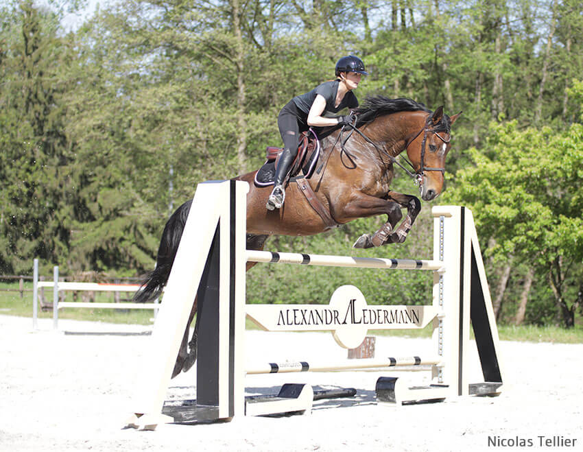 #CavalièresDuZodiac : Les signes d'Air ! Blog AL Sportswear – Alexandra ...